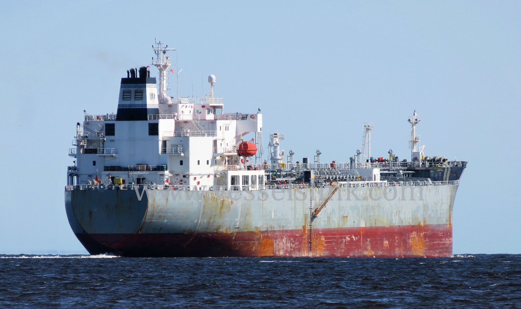 share share tweet share whatsapp email